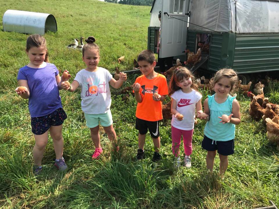 The Lands at Hillside Farms | Local, Sustainable, Educational Non ...